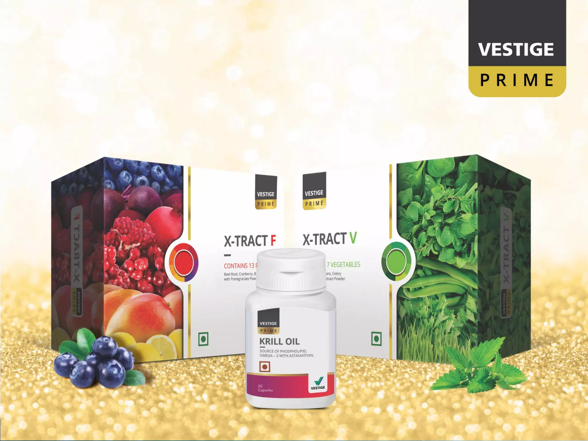 VESTIGE PLAN PRESENTATION | PDF
