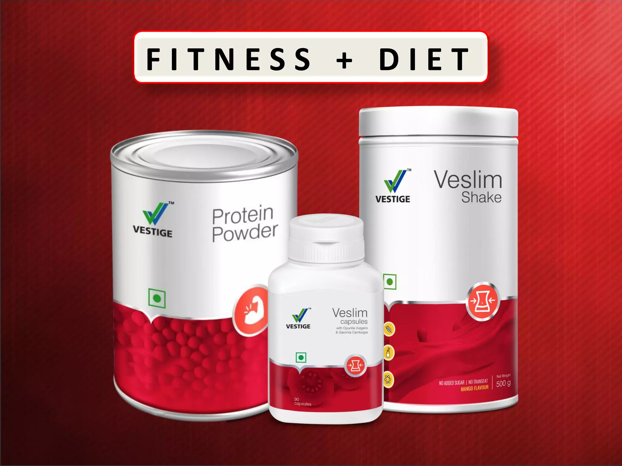 VESTIGE PLAN PRESENTATION | PDF