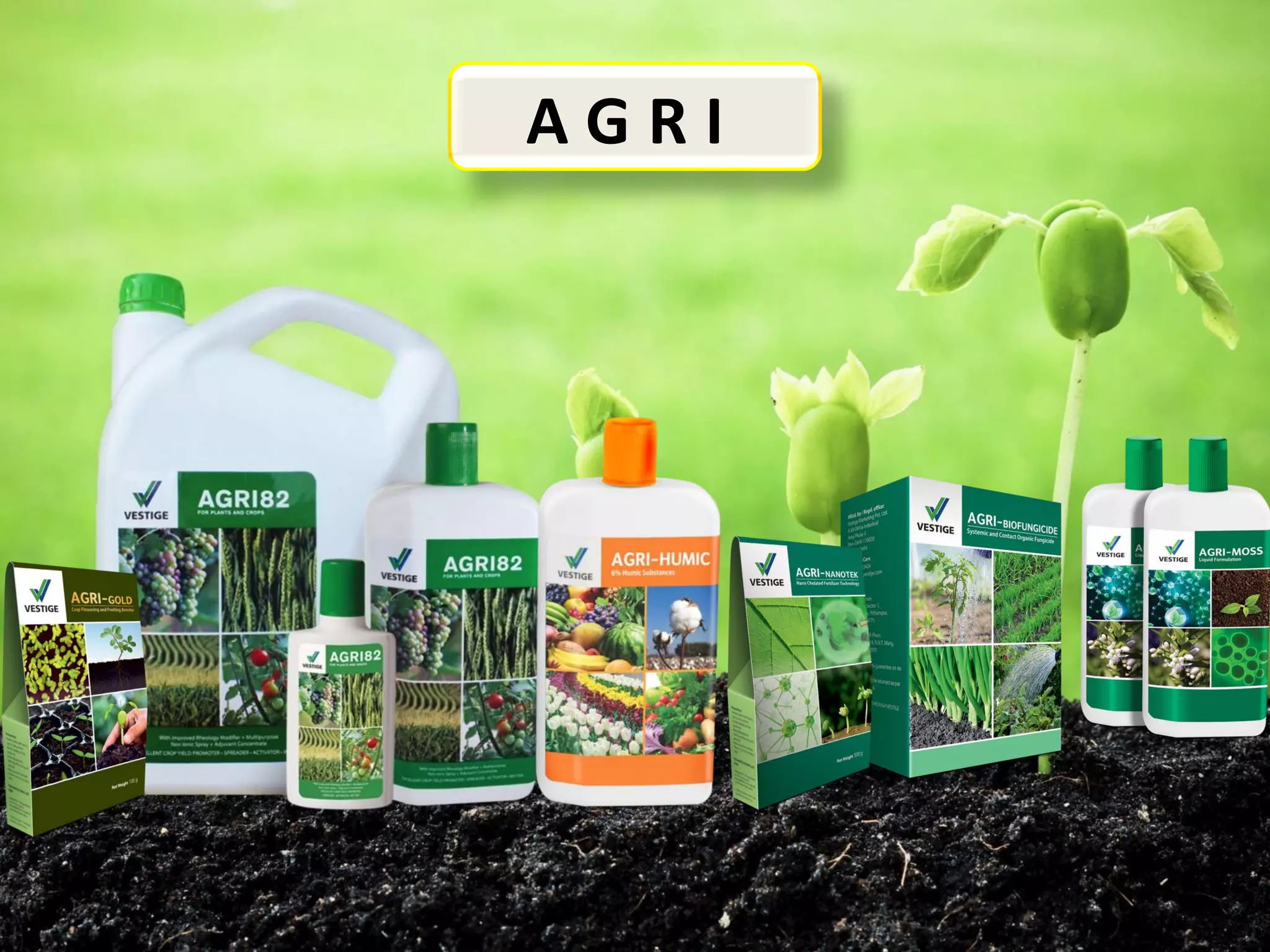 VESTIGE PLAN PRESENTATION | PDF