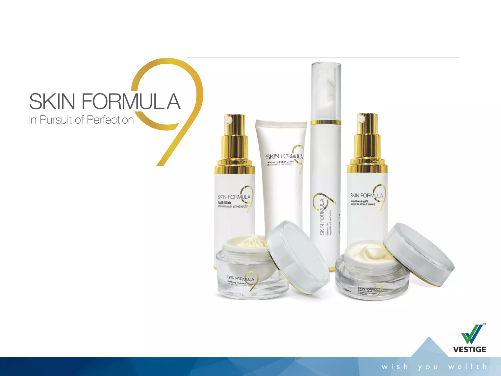 VESTIGE PLAN PRESENTATION | PDF