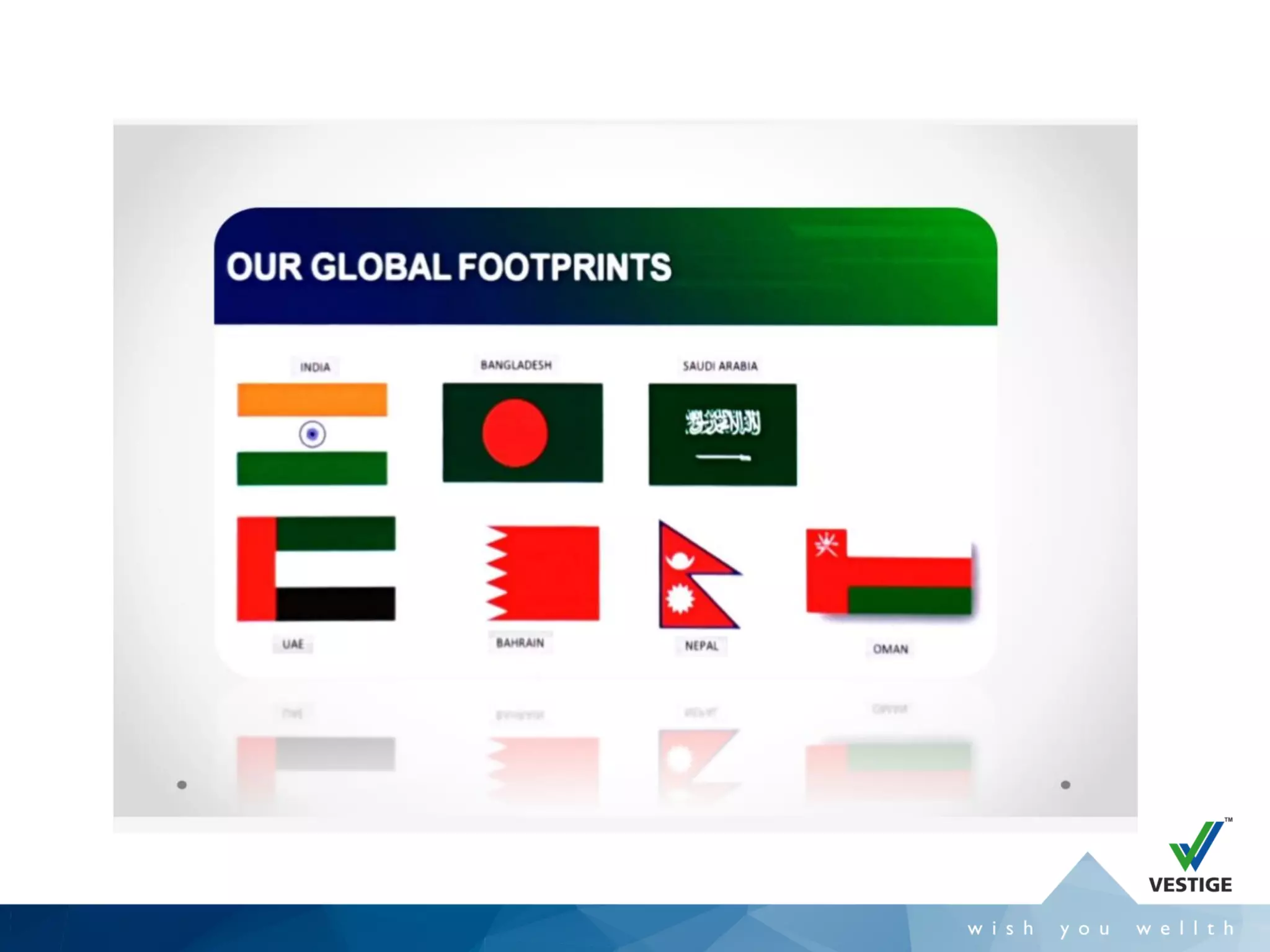 VESTIGE PLAN PRESENTATION | PDF