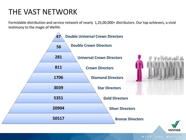 VESTIGE PLAN PRESENTATION | PDF