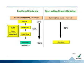 VESTIGE PLAN PRESENTATION | PDF
