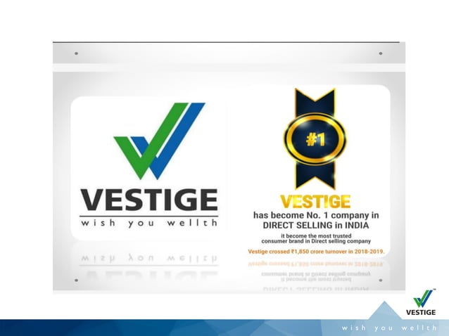 VESTIGE PLAN PRESENTATION | PDF