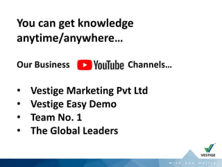 VESTIGE PLAN PRESENTATION | PDF