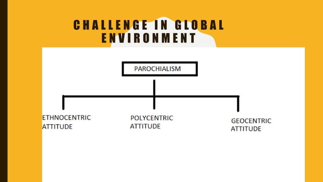 The Global Perspective, Management and Diversity.pptx