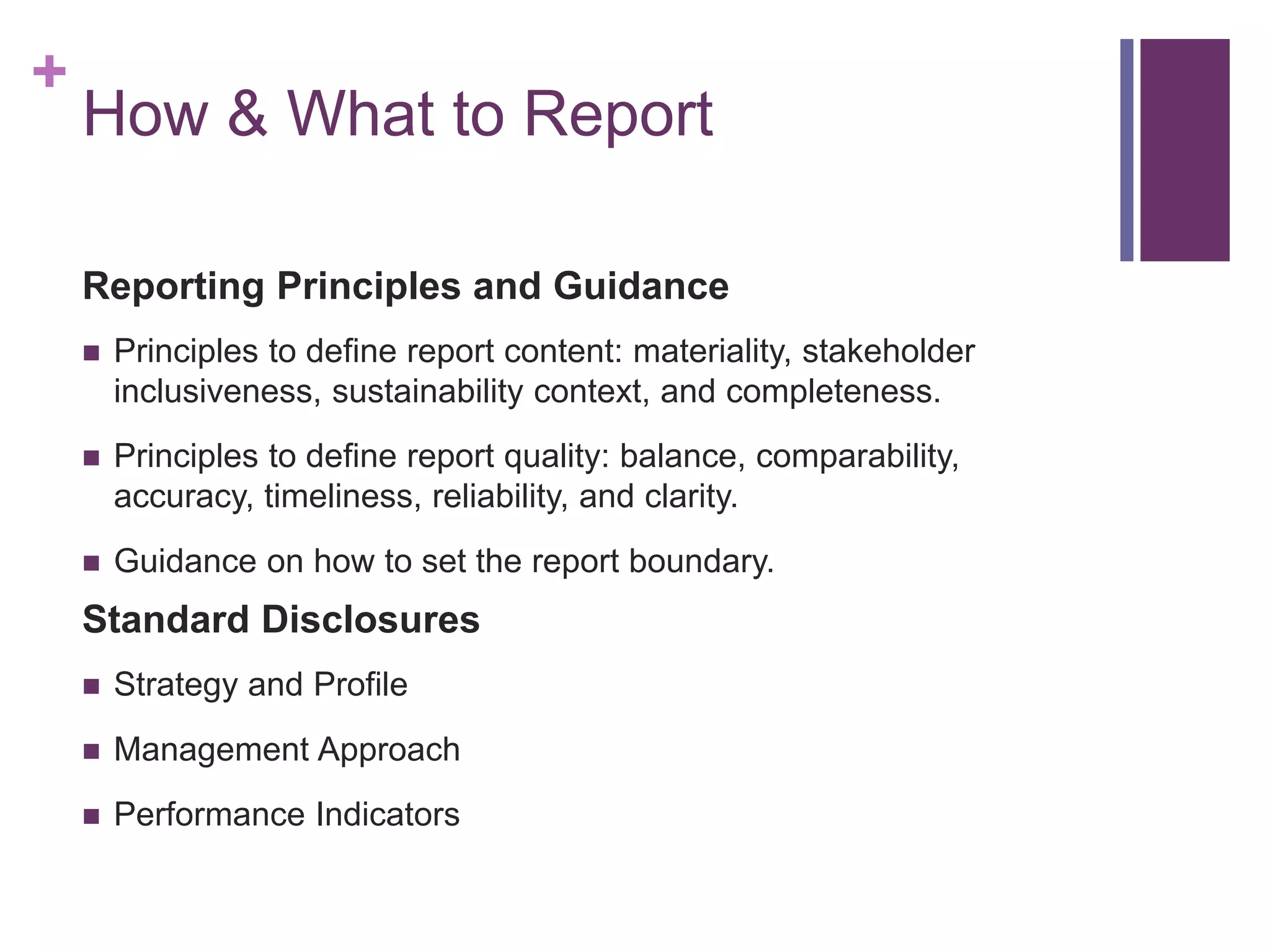 The Global Reporting Initiative | PPTX