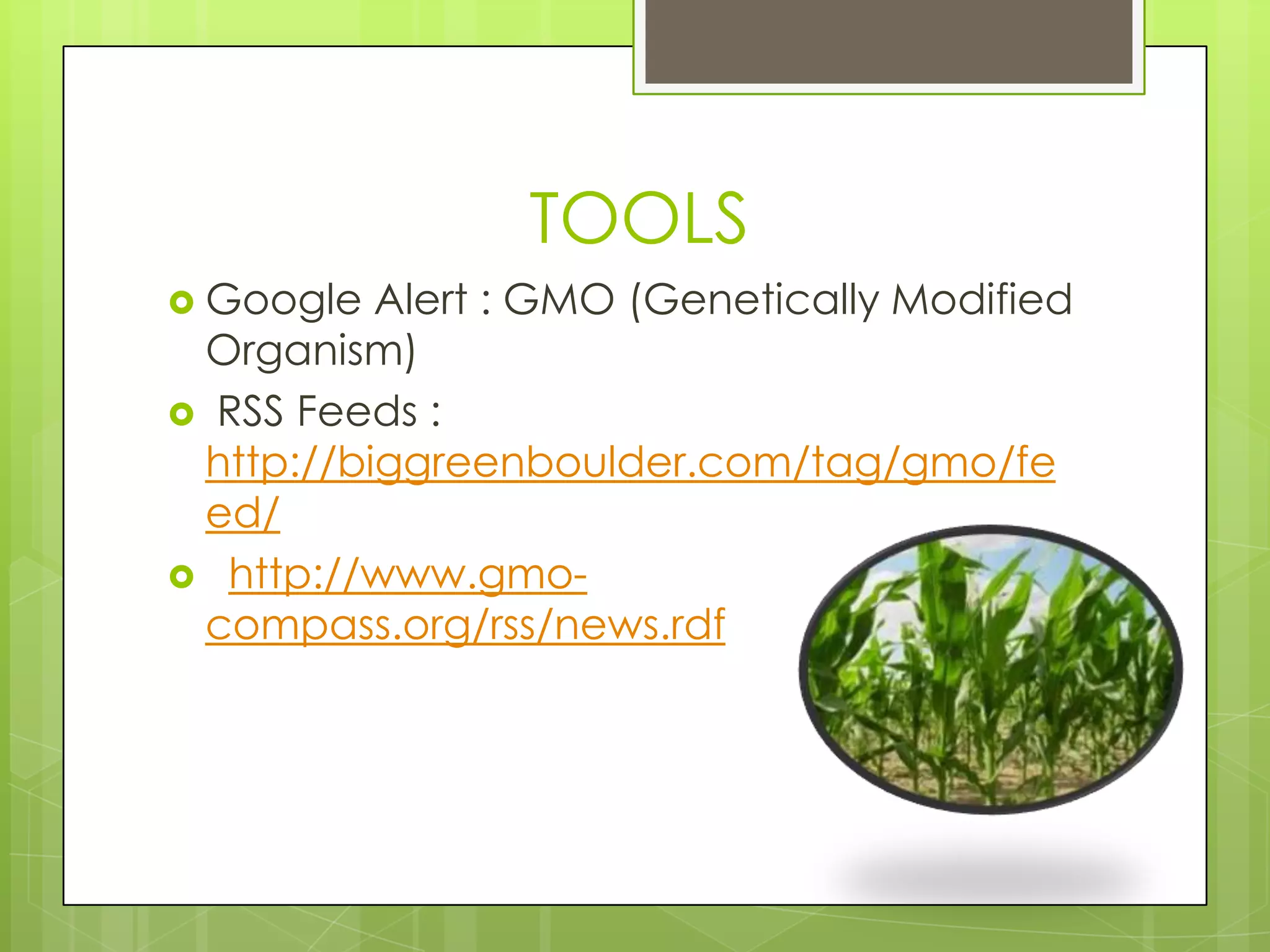 The gmo (genetically modified organism) | PPTX