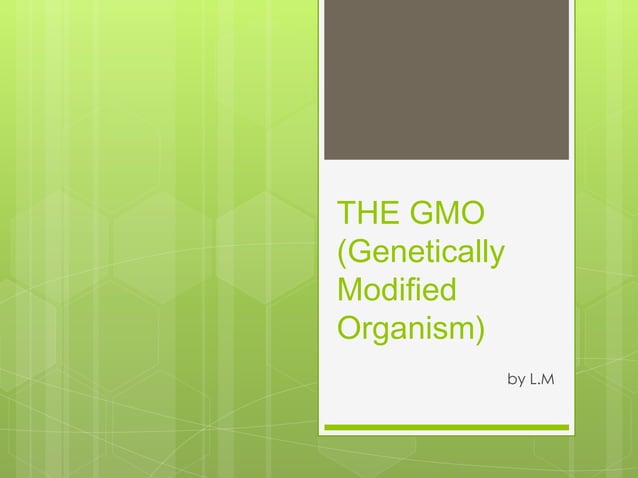 The gmo (genetically modified organism) | PPTX | Agriculture | Industries