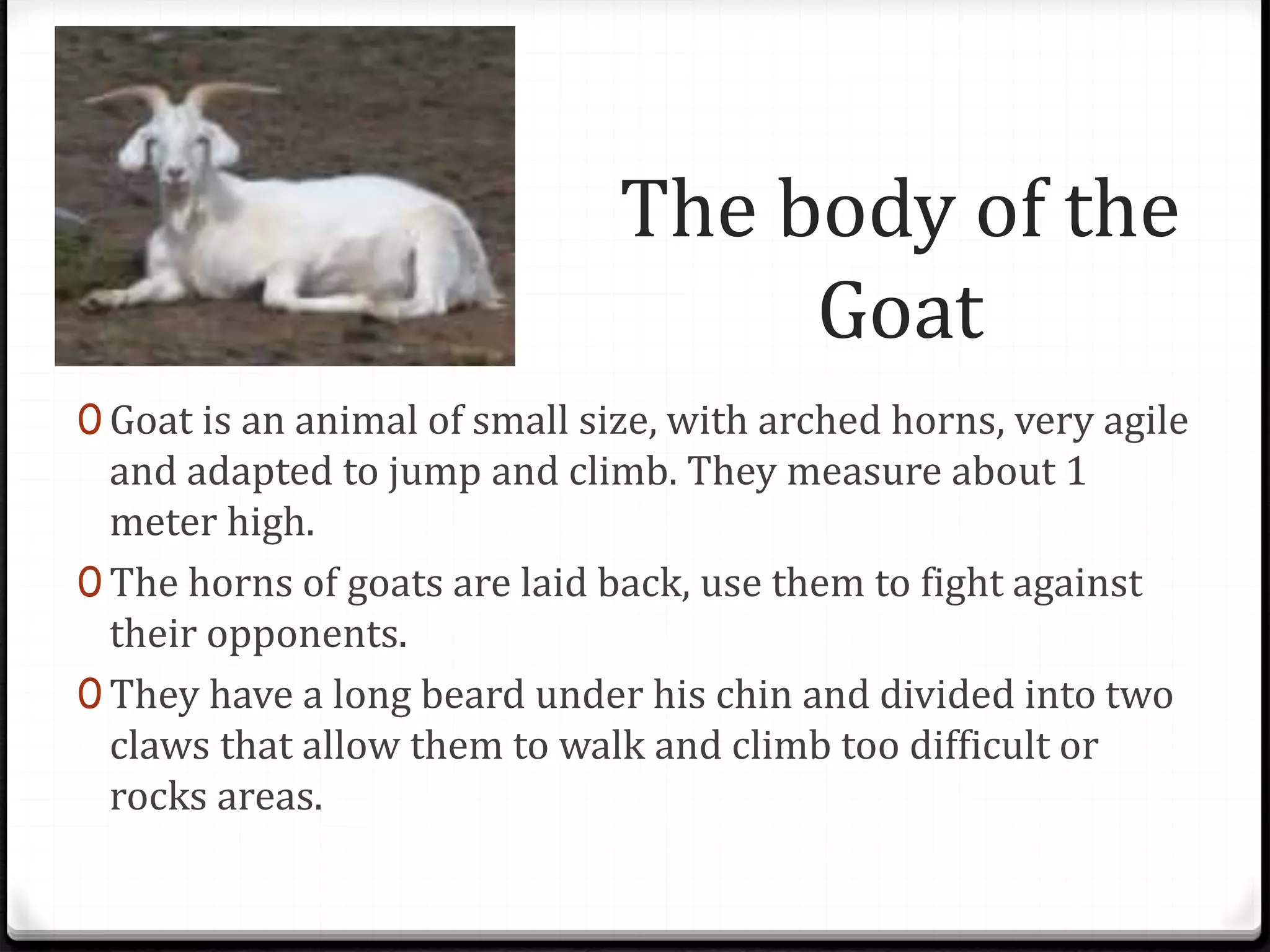 The goats | PPT
