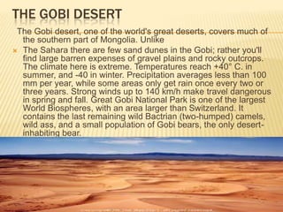 The gobi desert | PPTX