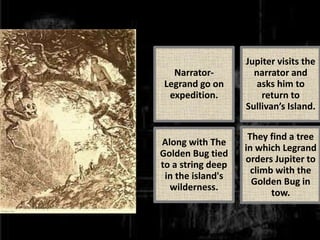 The Gold Bug | PPTX