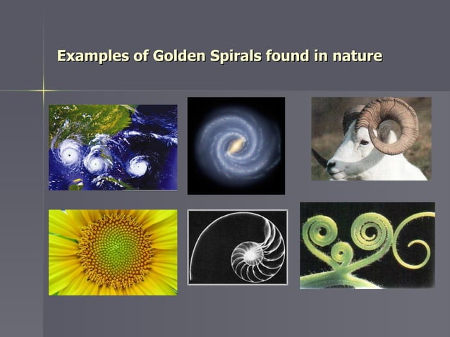 The Golden Mean | PPT | Science