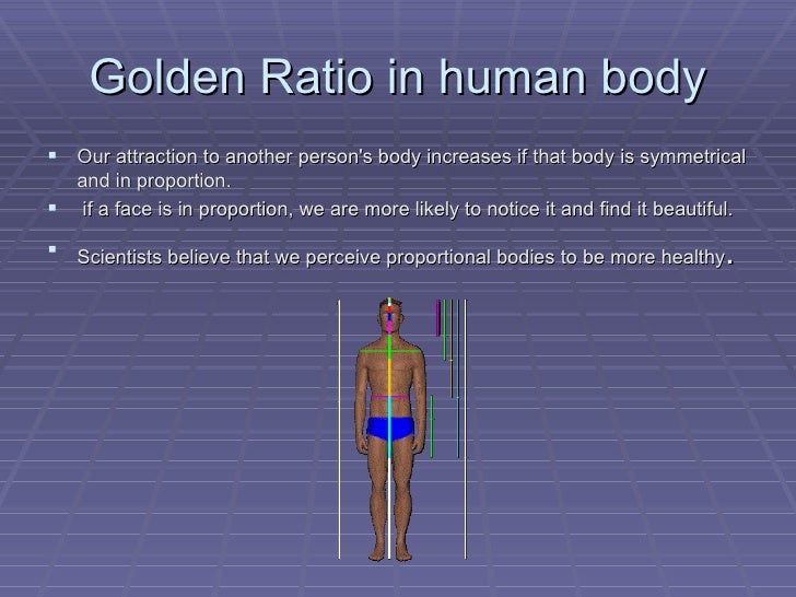 The Golden Ratio the-golden-ratio