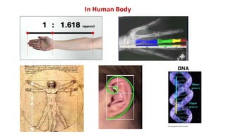 THE GOLDEN RATIO | PPTX
