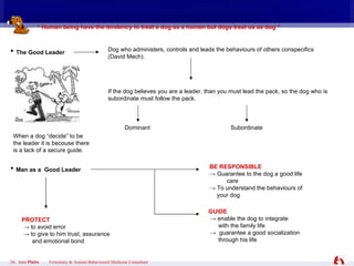 The Good Alpha. Responsible Dog Ownership | PPT