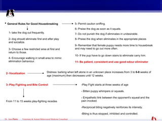 The Good Alpha. Responsible Dog Ownership | PPT | Parenting Babies and ...