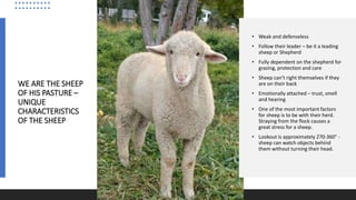 Jesus, the good shepherd and the God-shepherd | PPTX