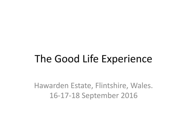 Ernesto's Good Life Experience | PPTX