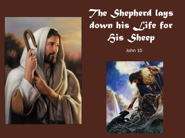 The Good Shepherd presentation by Patrick Deign | PPT