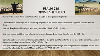The Good Shepherd (Part I) | Psalm 23 Bible Study | PDF
