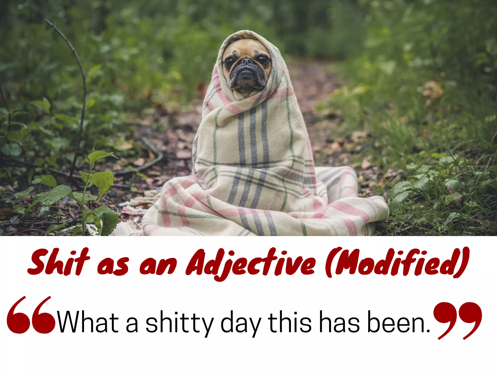 Everything You Need to Know About the Grammar of Swearing | PDF