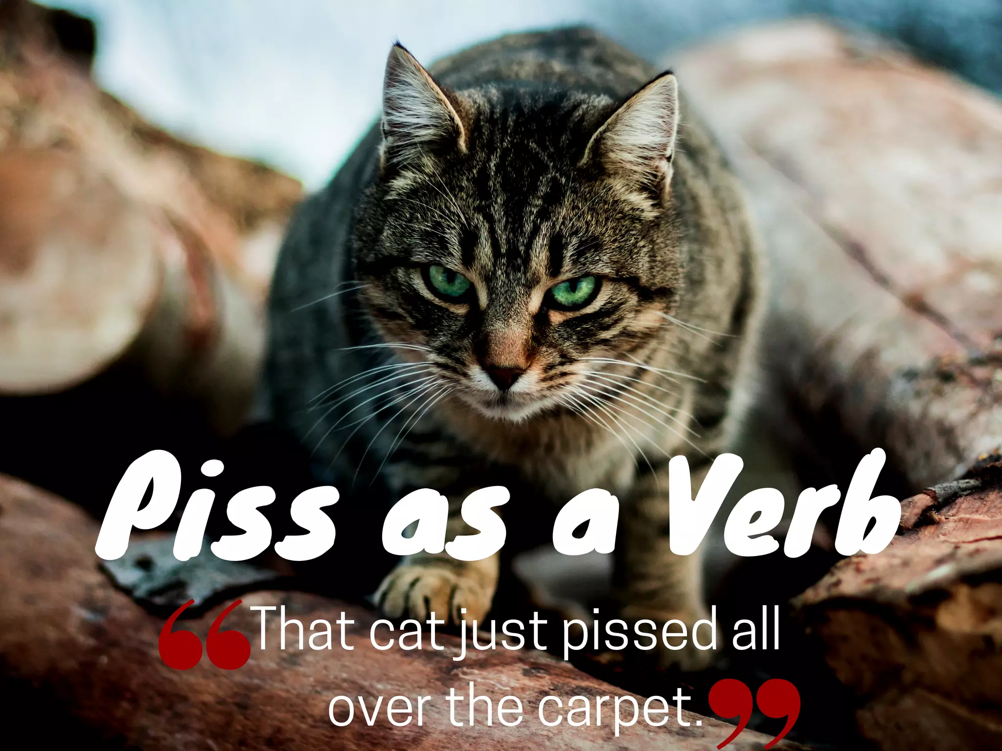 Everything You Need to Know About the Grammar of Swearing | PDF
