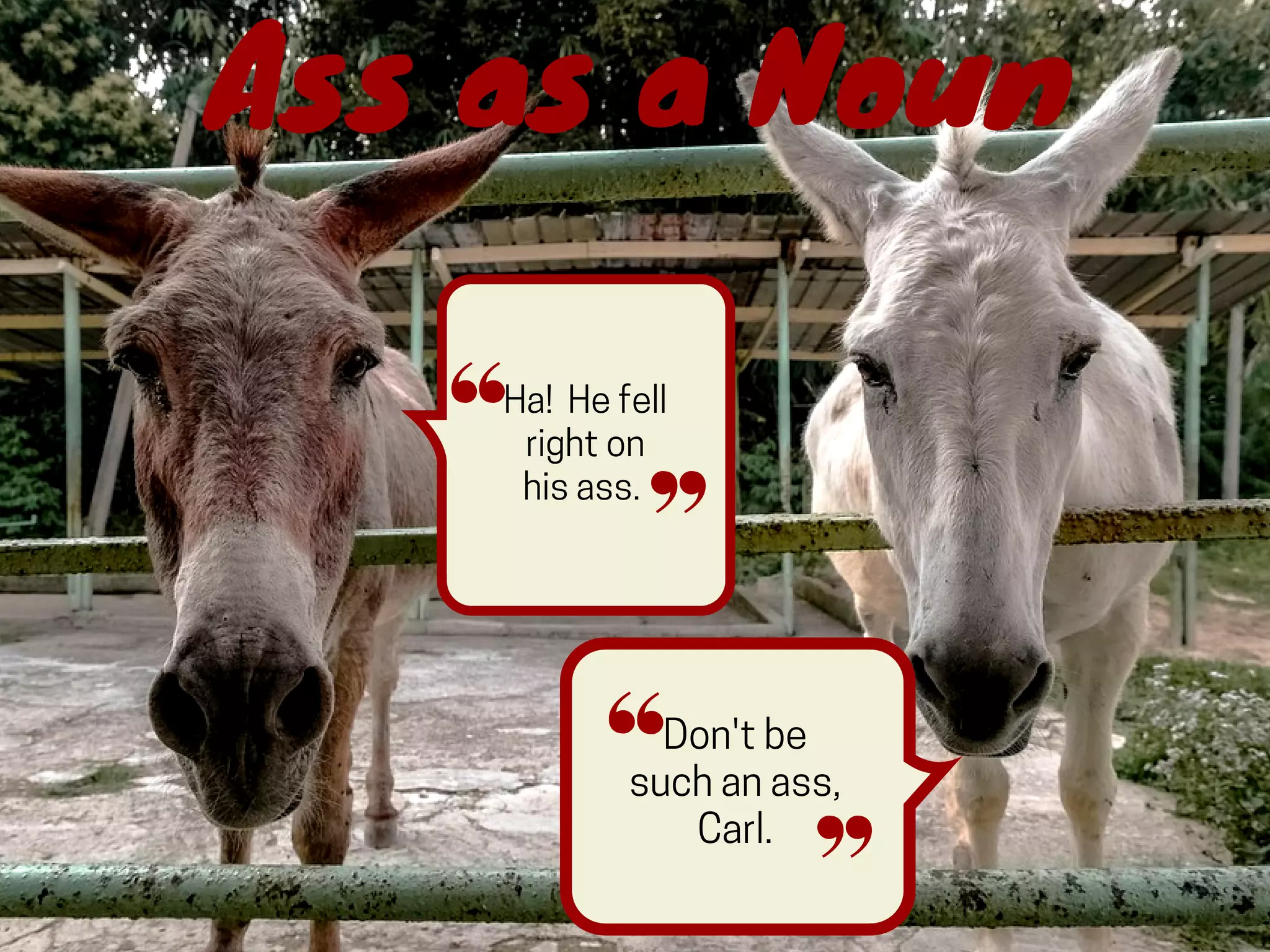 Everything You Need to Know About the Grammar of Swearing | PDF