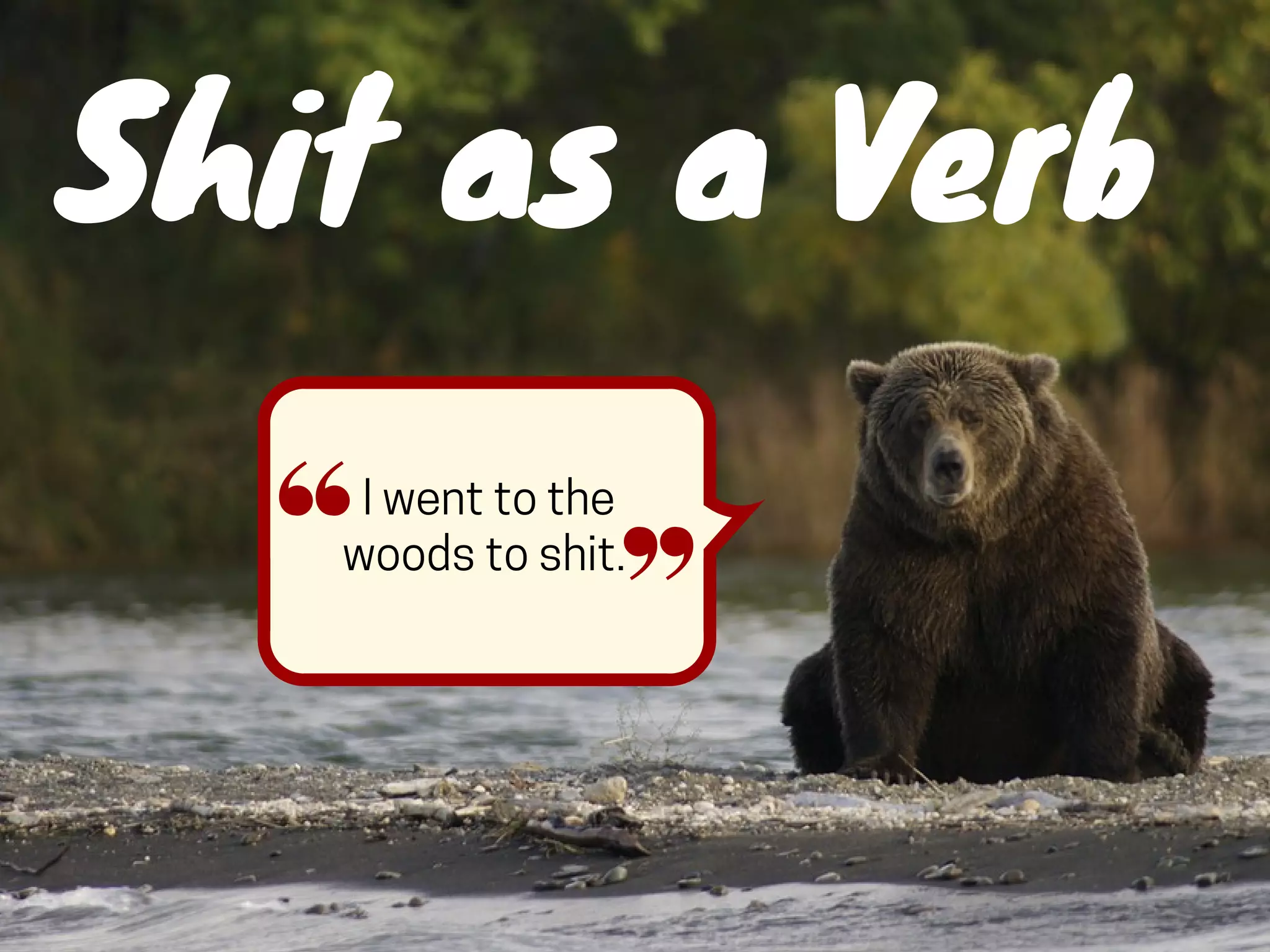 Everything You Need to Know About the Grammar of Swearing | PDF