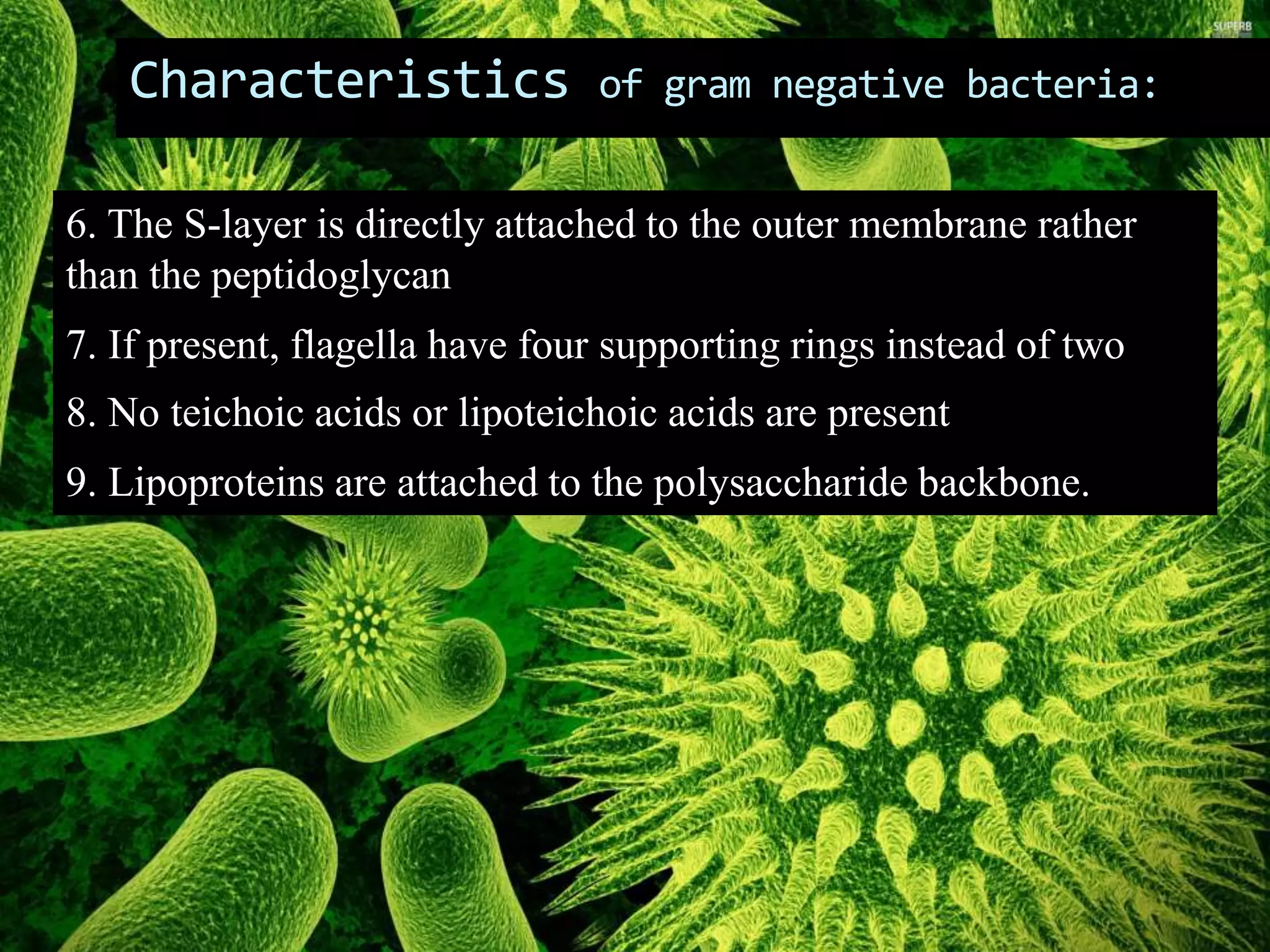 Gram negative bacteria.. | PPTX