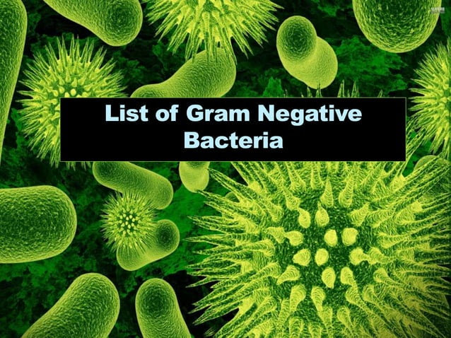 Gram negative bacteria.. | PPTX | Digestive Disorders | Diseases and ...