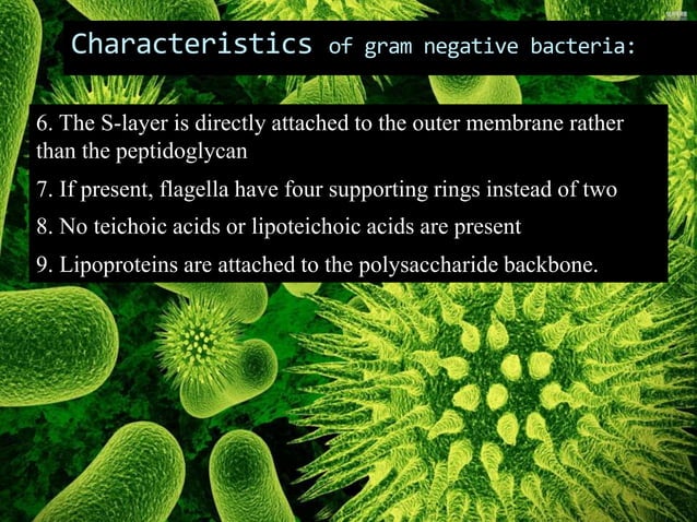 Gram negative bacteria.. | PPTX | Digestive Disorders | Diseases and ...
