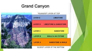 The grand canyon | PPTX