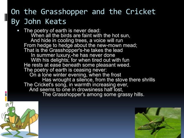 The grasshopper and the cricket.ppt | Cricket | Sports