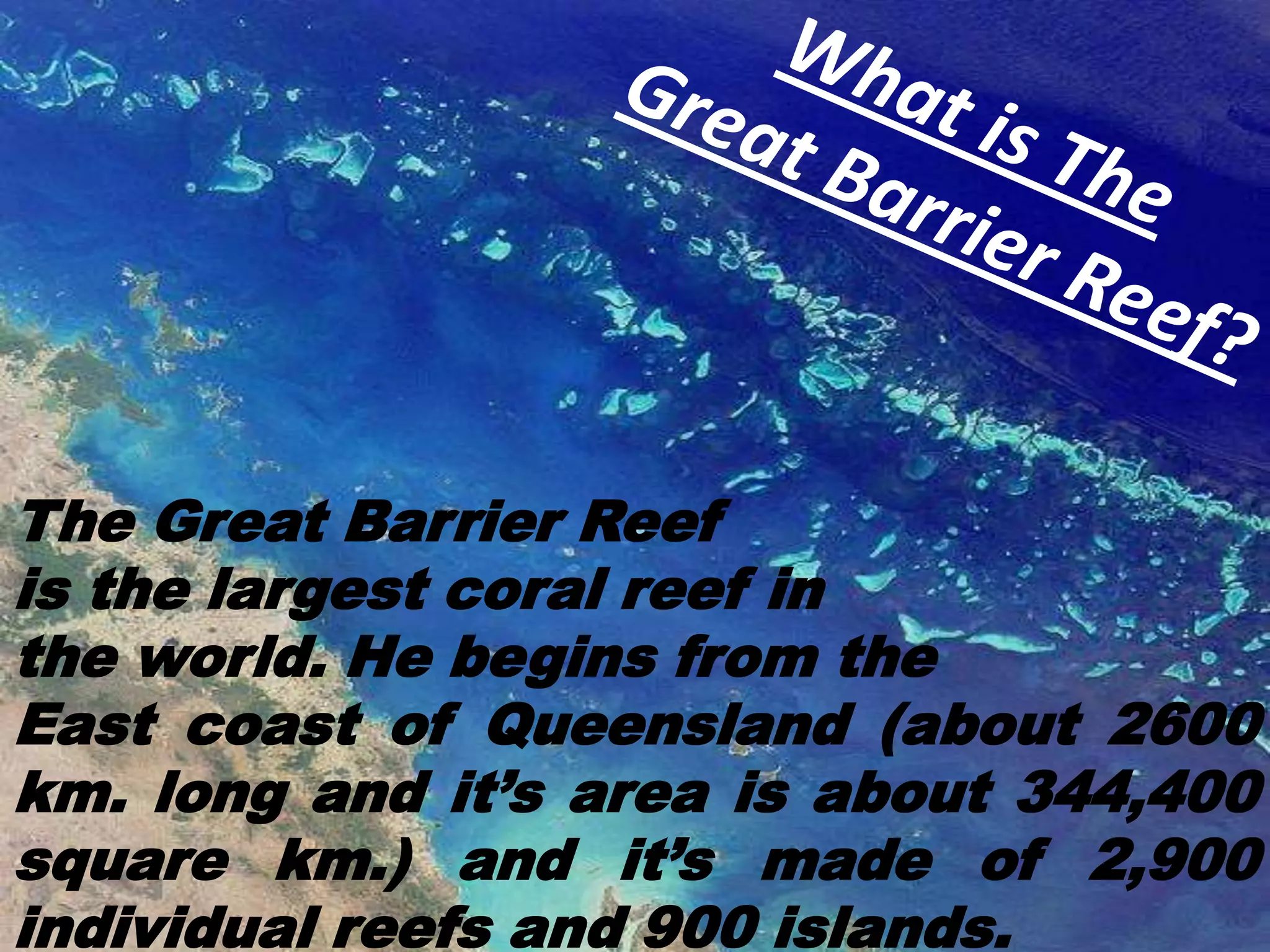 The Great Barrier Reef | PPTX