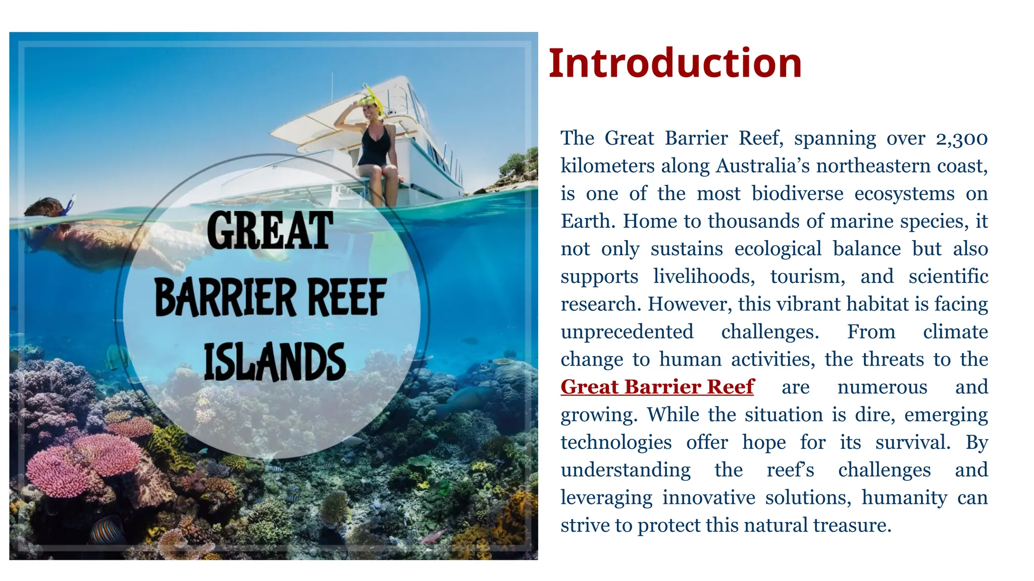 The Great Barrier Reef’s Fight for Survival: Can Technological ...