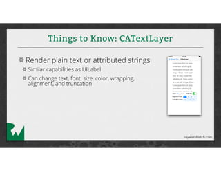 The Great CALayer Tour | PDF