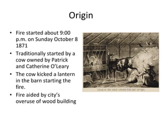 Great Chicago Fire Cow