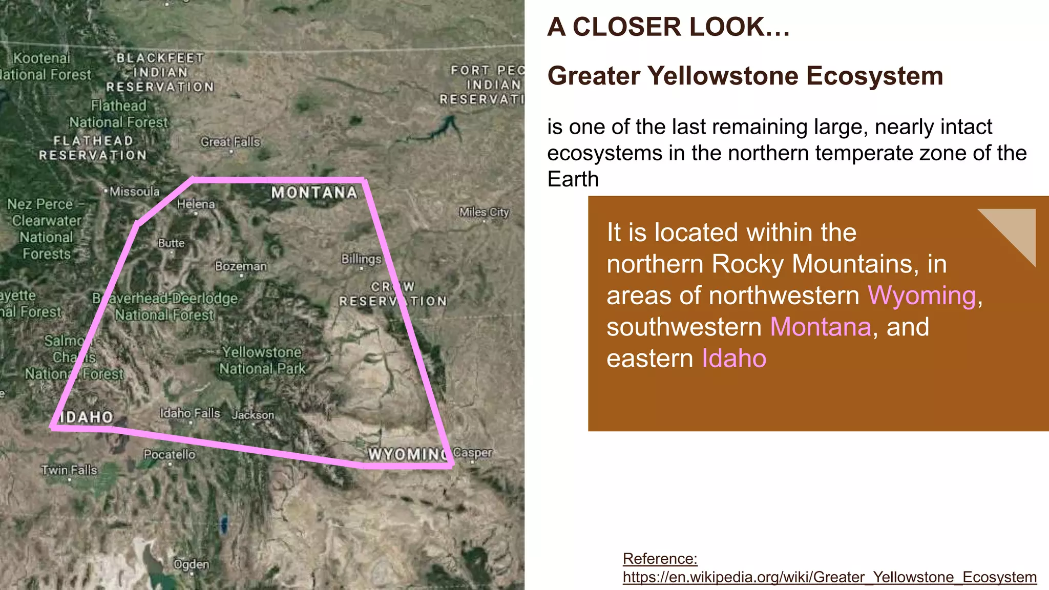 The Greater Yellowstone Ecosystem | PPTX