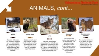 The Greater Yellowstone Ecosystem | PPTX