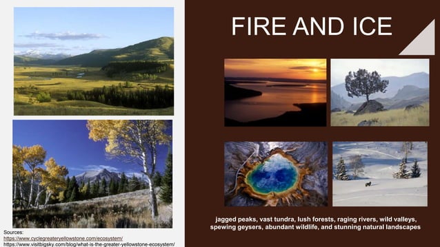 The Greater Yellowstone Ecosystem | PPT
