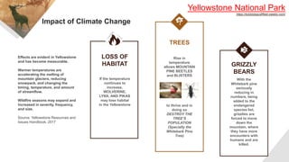 The Greater Yellowstone Ecosystem | PPTX