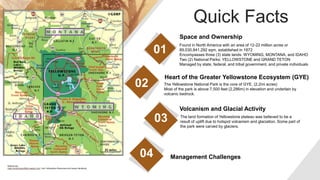 The Greater Yellowstone Ecosystem | PPTX