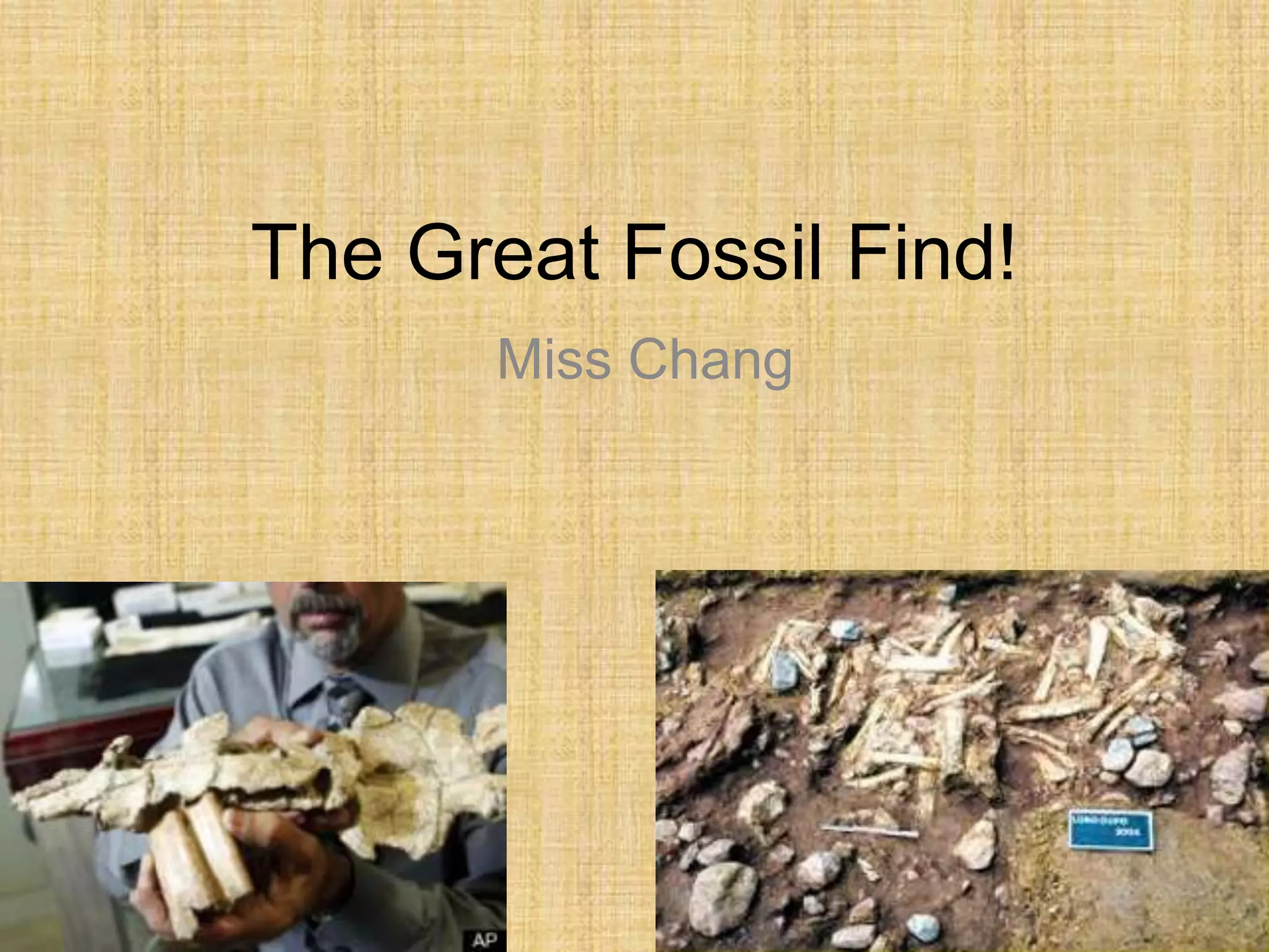 The great fossil find! | PPTX | Geology | Science