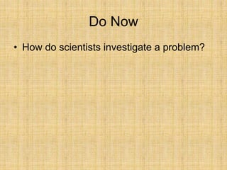 The great fossil find! | PPTX | Geology | Science