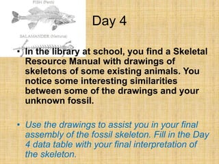 The great fossil find! | PPTX | Geology | Science