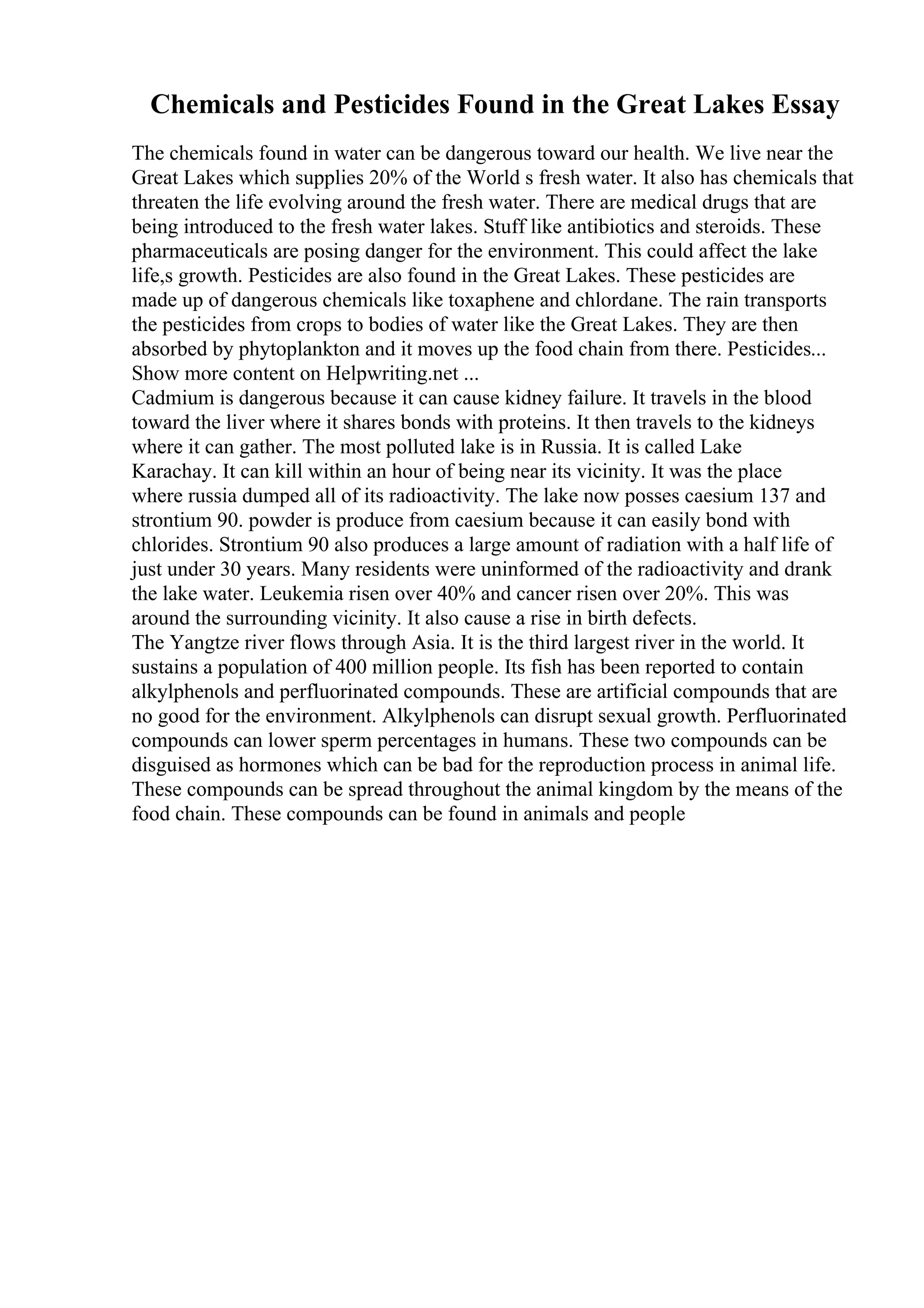 The Great Gatsby Critical Essay | PDF