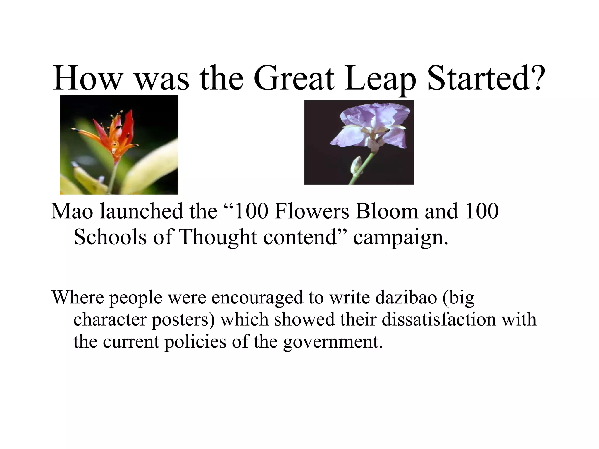 The great leap forward | PPT
