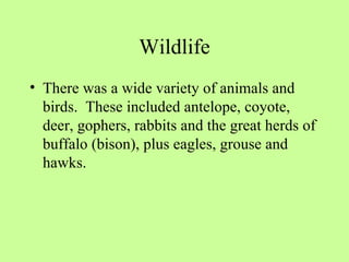 The Great Plains | PPT