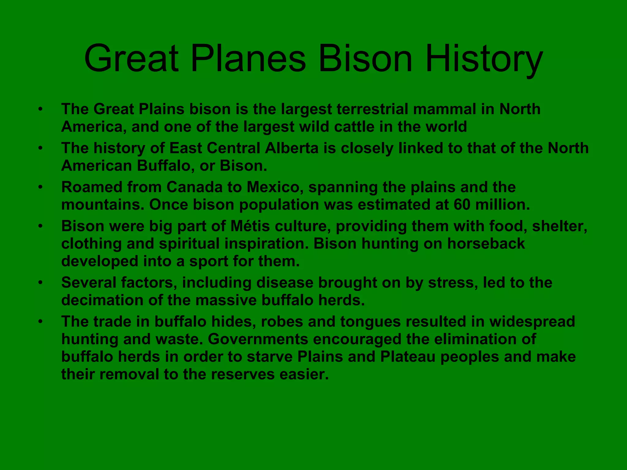 The Great Plains Bison | PPT